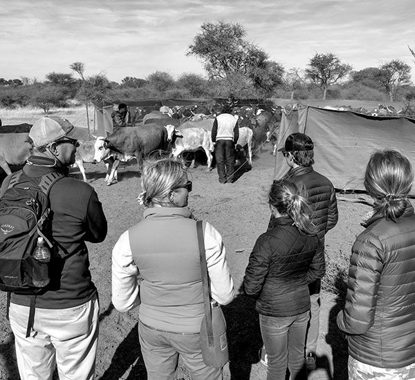 WILD ENTRUST's Botswana Predator Conservation program